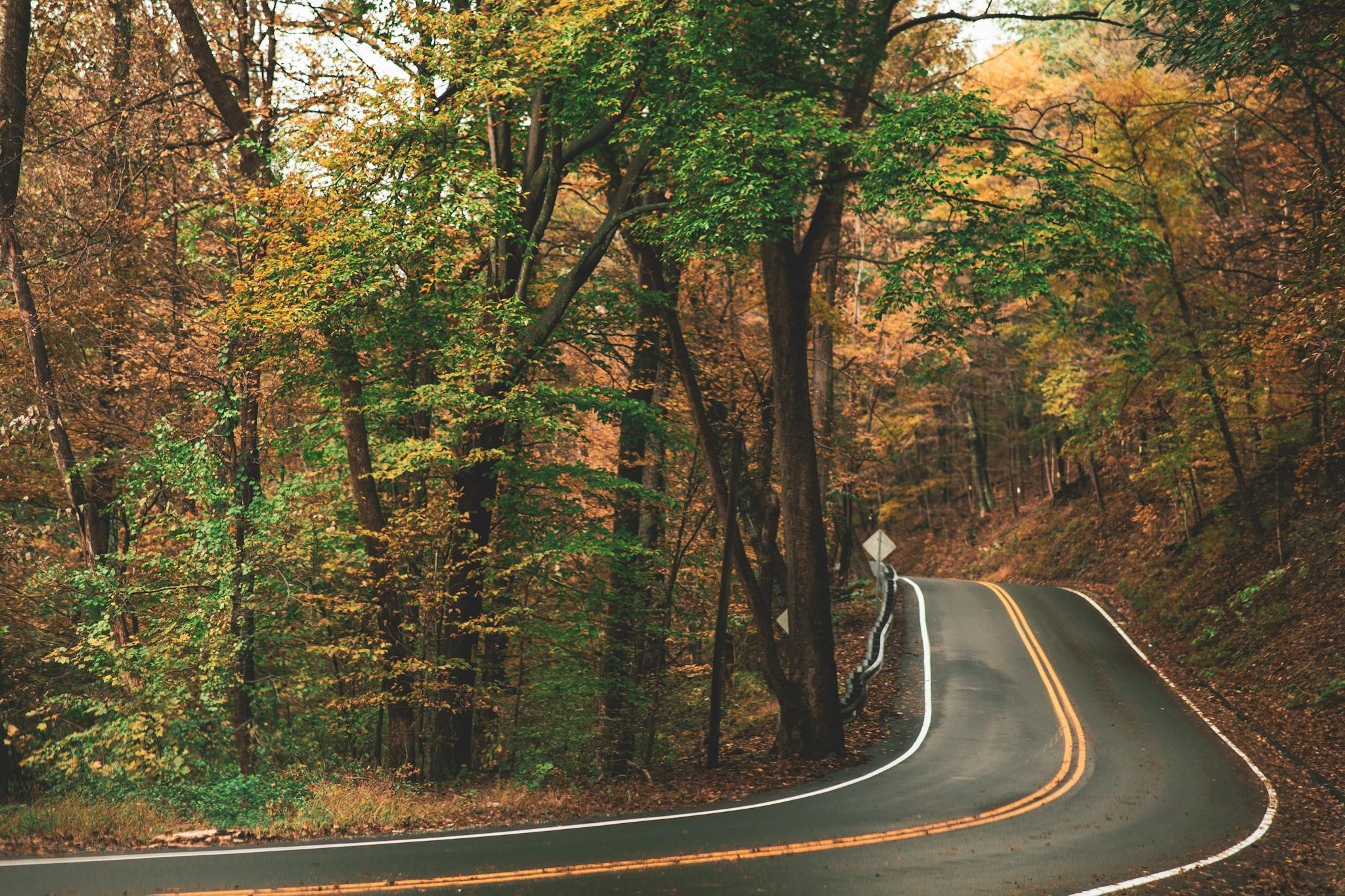 What Are Vignettes in Europe: Guide for your European Road Trip