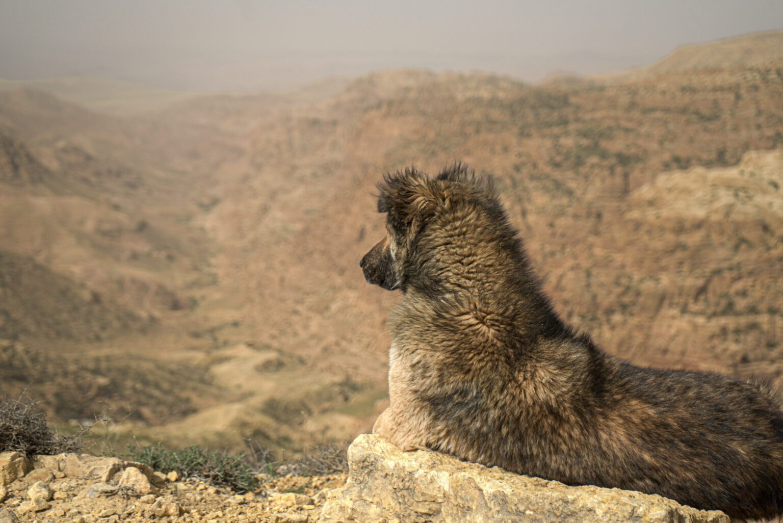 Jordan Travel Photography: 20 Stunning Photos to Inspire Your Trip
